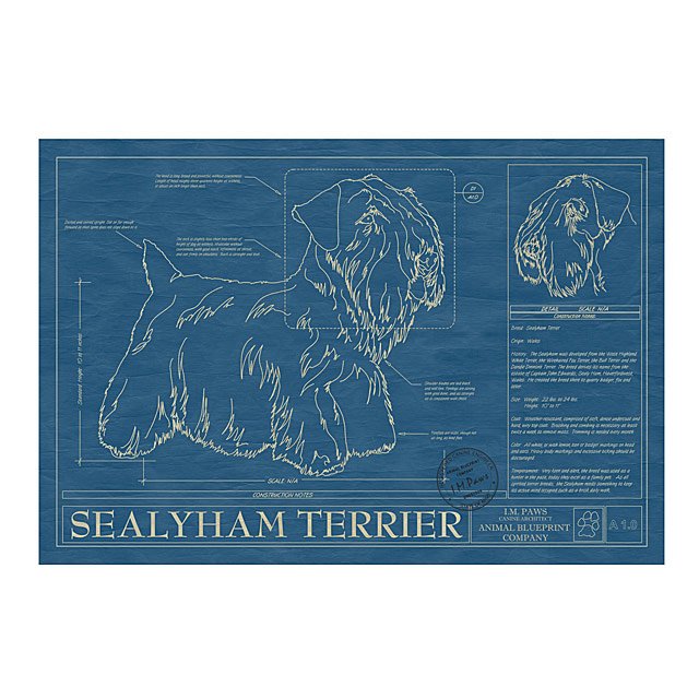 Dog Blueprints | Framed Wall Art, Dog Breeds | Uncommon Goods