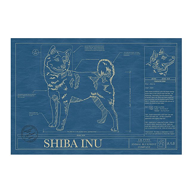 Dog Blueprints | Framed Wall Art, Dog Breeds | Uncommon Goods