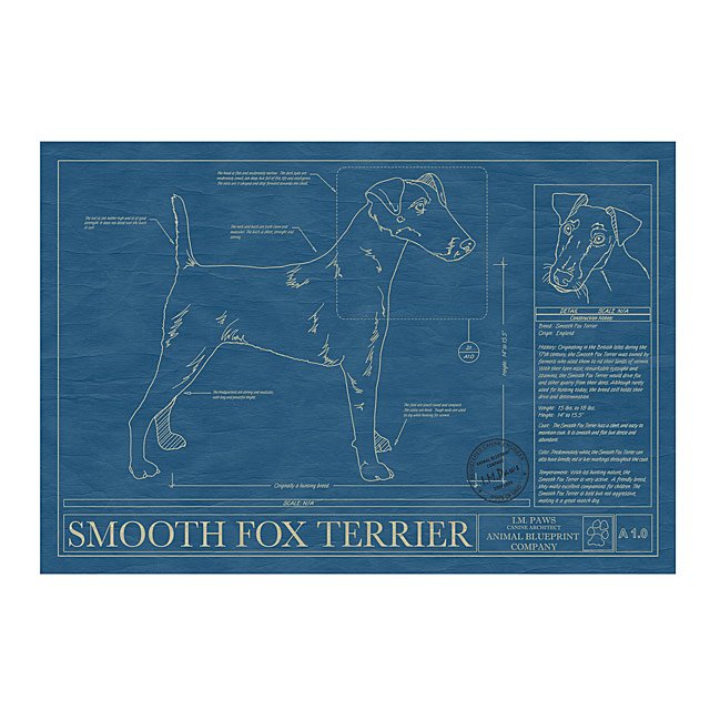 Dog Blueprints | Framed Wall Art, Dog Breeds | Uncommon Goods