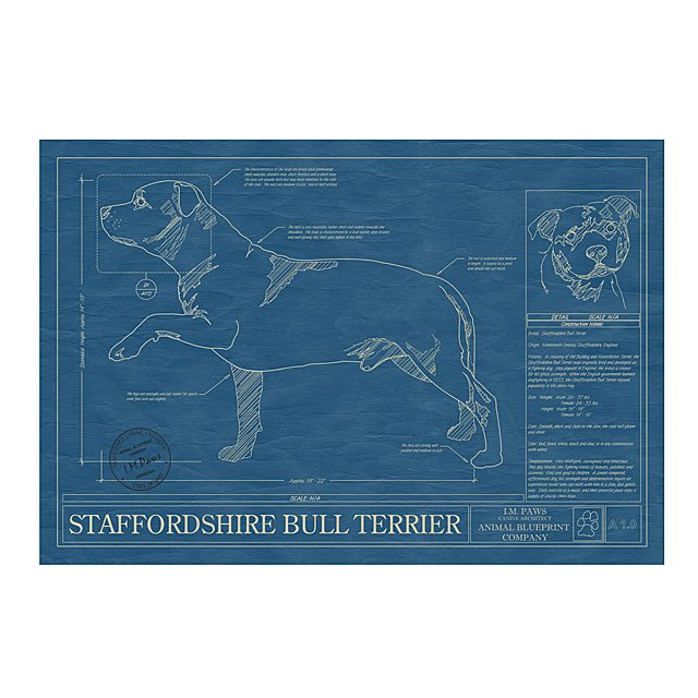 Dog Blueprints | Framed Wall Art, Dog Breeds | Uncommon Goods