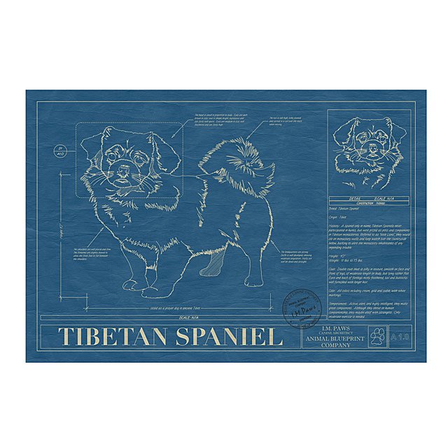 Dog Blueprints | Framed Wall Art, Dog Breeds | Uncommon Goods