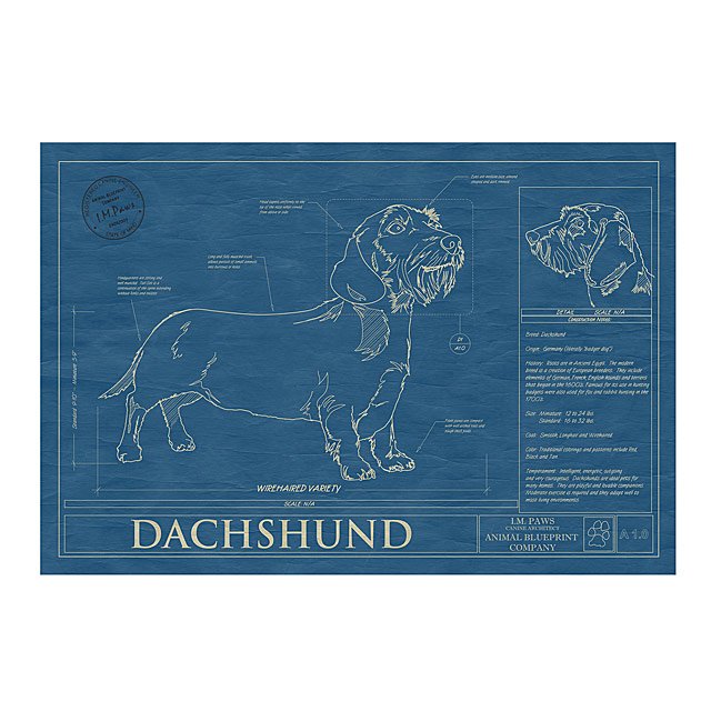 Dog Blueprints | Framed Wall Art, Dog Breeds | Uncommon Goods