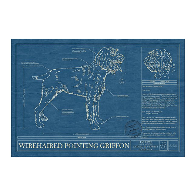 Dog Blueprints | Framed Wall Art, Dog Breeds | Uncommon Goods