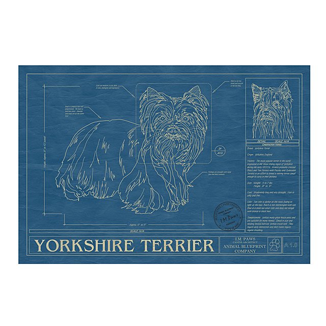 Dog Blueprints | Framed Wall Art, Dog Breeds | Uncommon Goods