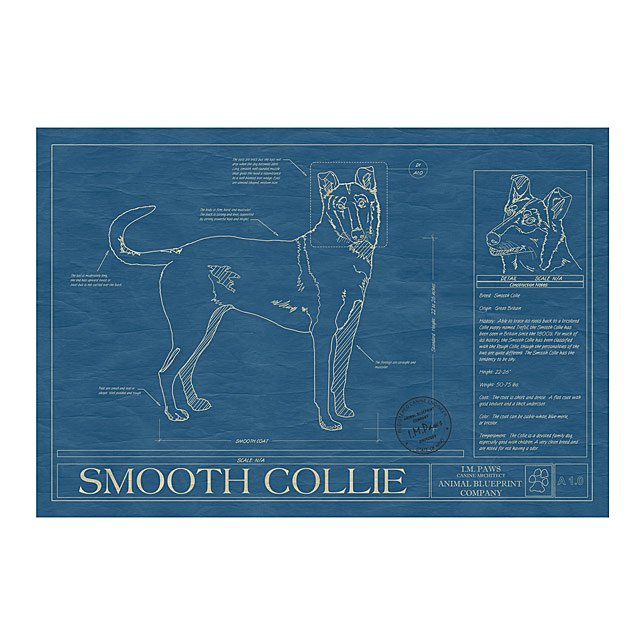 Dog Blueprints | Framed Wall Art, Dog Breeds | Uncommon Goods