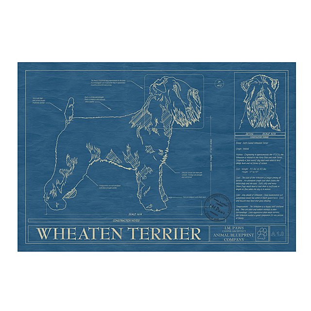 Dog Blueprints | Framed Wall Art, Dog Breeds | Uncommon Goods