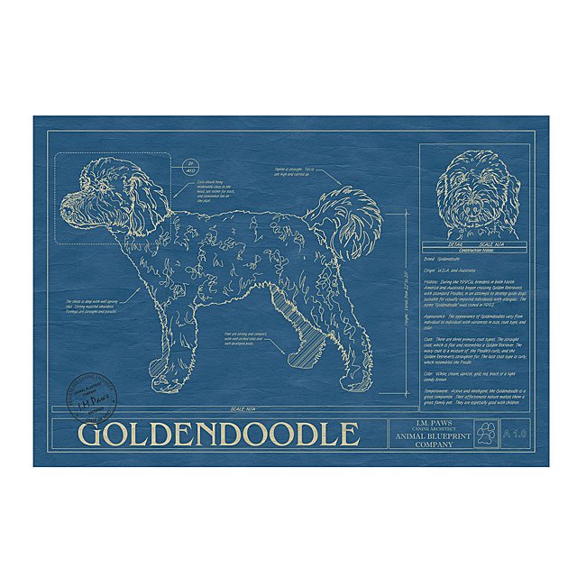 Dog Blueprints | Framed Wall Art, Dog Breeds | Uncommon Goods