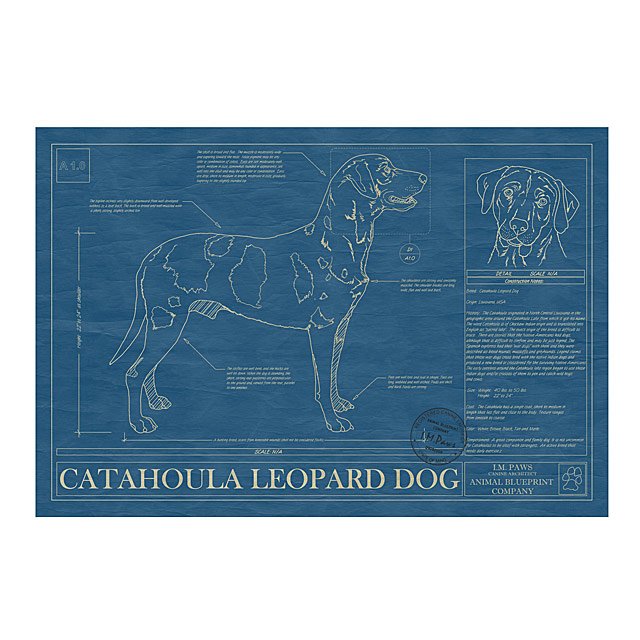 Dog Blueprints | Framed Wall Art, Dog Breeds | Uncommon Goods