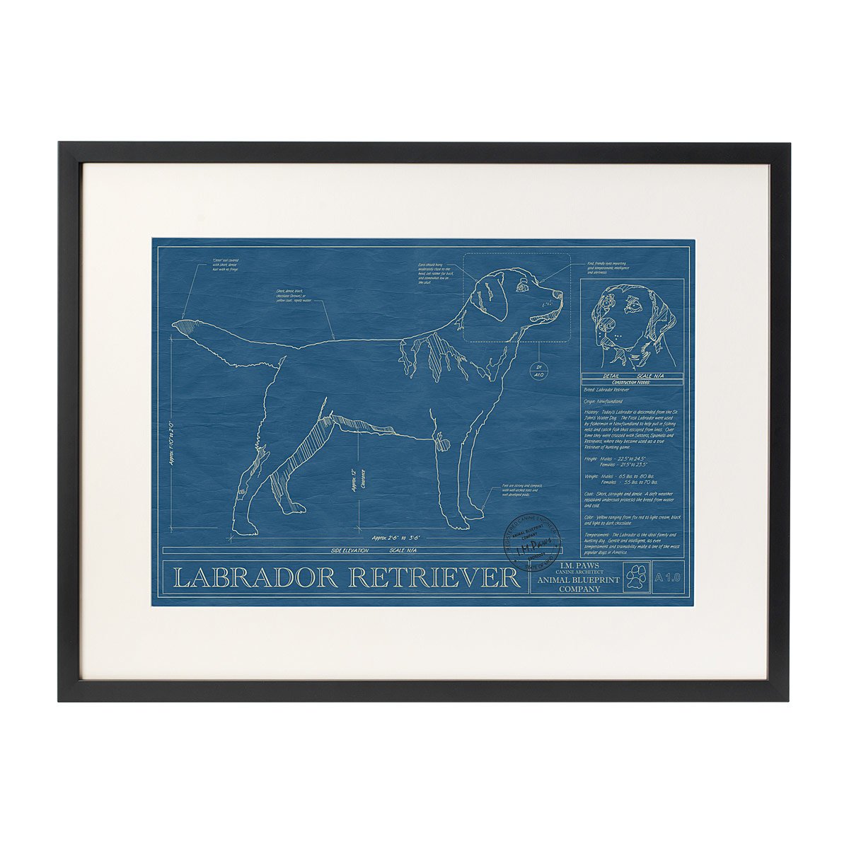 Uncommon Goods | Dog Blueprints | Framed Wall Art, Dog Breeds