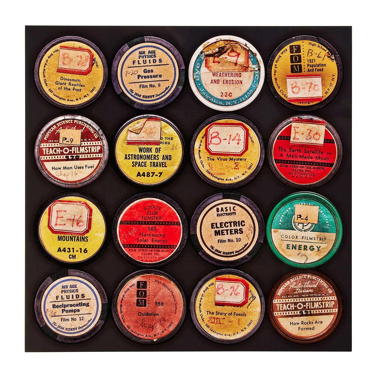 Elementary | Vintage Science Art Photography | Uncommon Goods