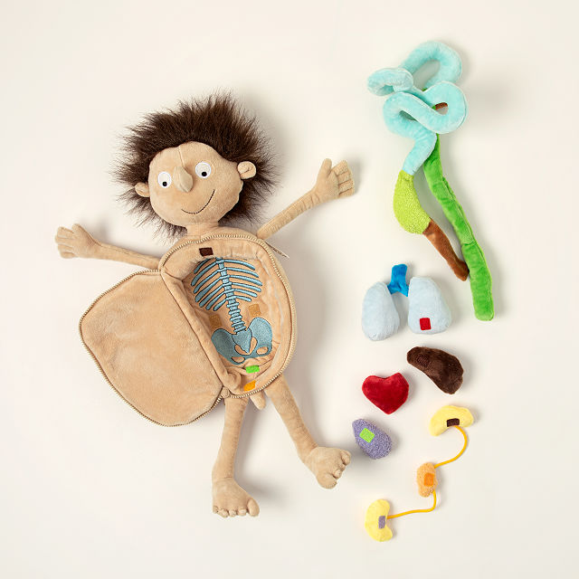Uncommon Goods | Erwin (boy) - Little Patient | Doctor Doll, STEM ...