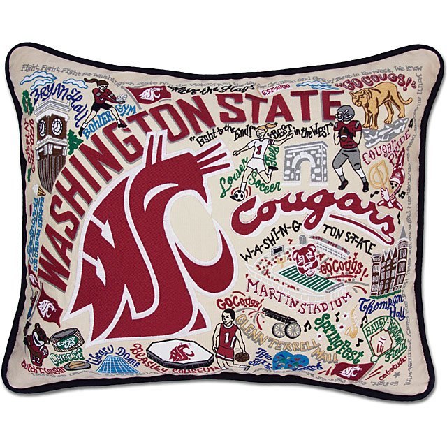 Uncommon Goods | Embroidered College Pillows | college decor