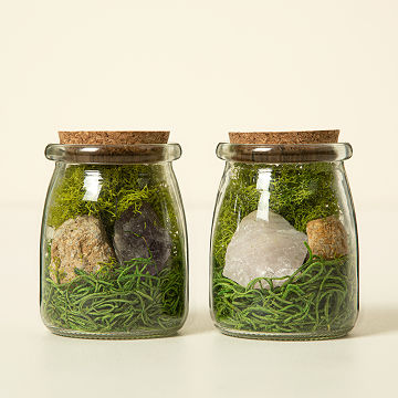 Terrariums & Planters | Uncommon Goods