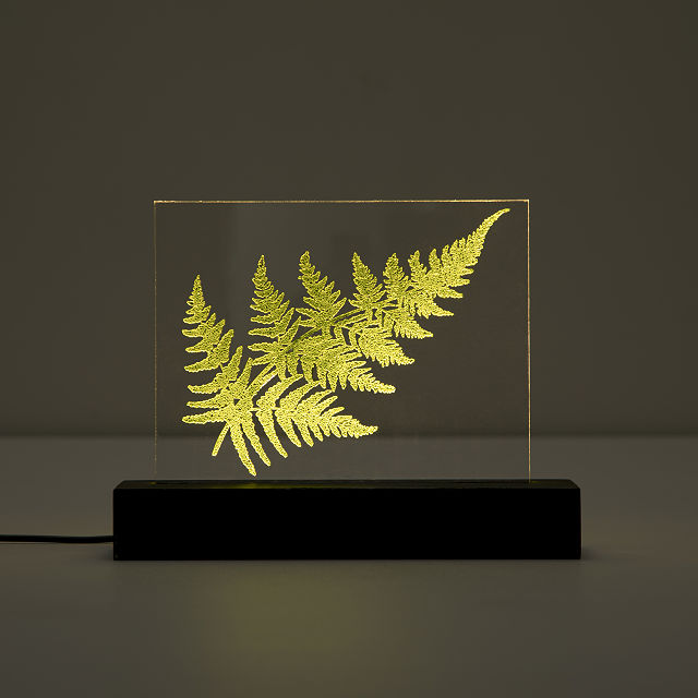 Nature Impressions Etched Lamp | Nature Decor | Uncommon Goods