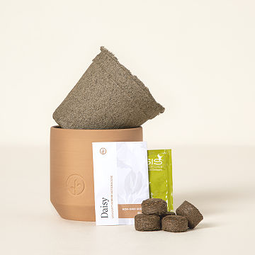 Uncommon Goods | Sarah Burrows and Nick Behr