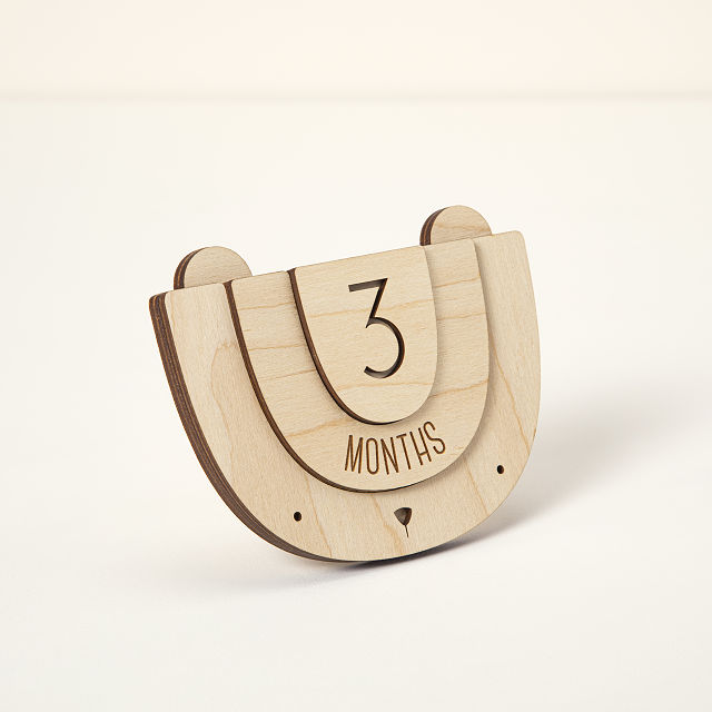 Bear Cub Milestone Set | Baby Prop | Uncommon Goods