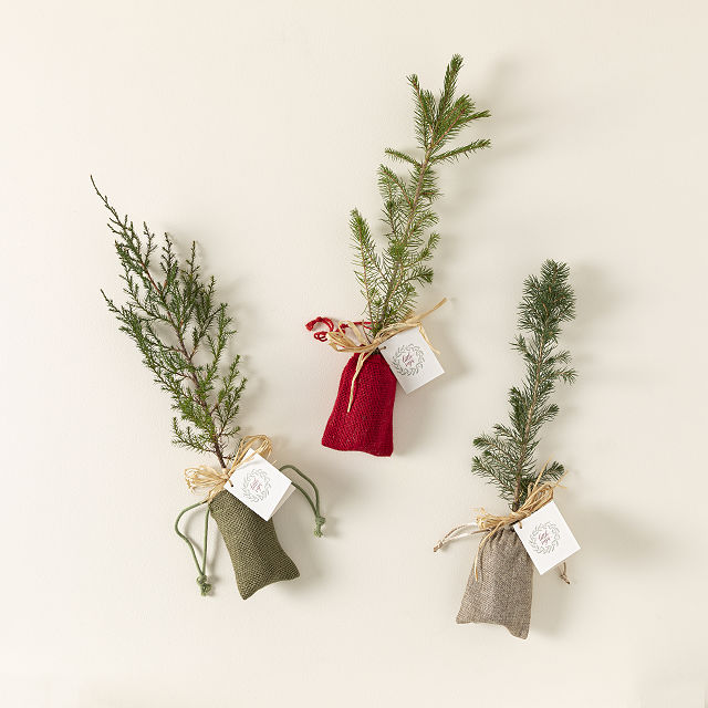 Season's Greetings Evergreen Tree | Christmas | Uncommon Goods