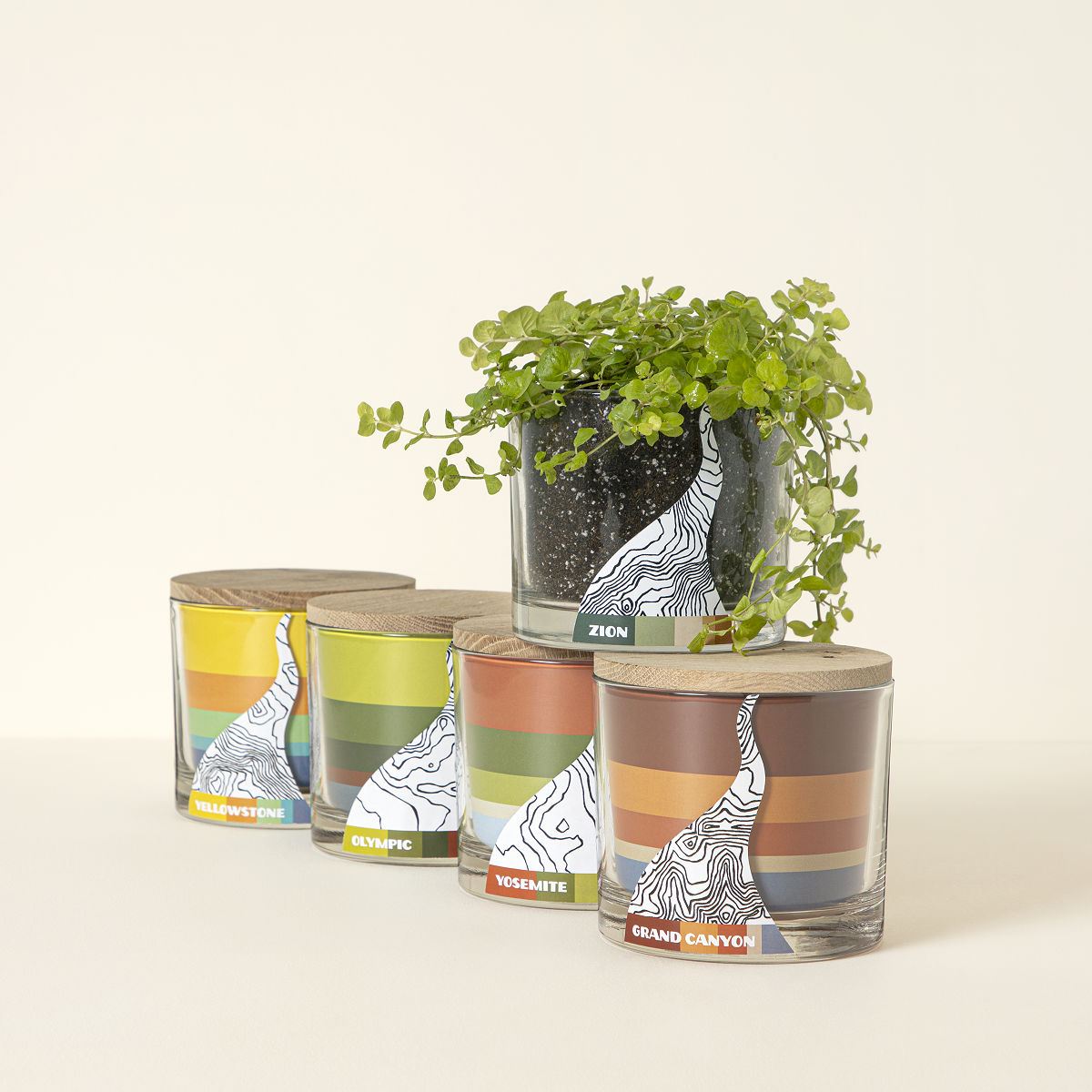 Uncommon Goods | Grow Your Own National Park Botanicals Kit | Grow Kit