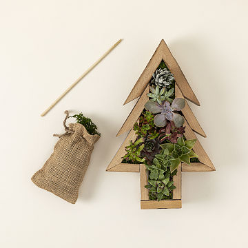68 Seed Gifts: Grow Your Own Plant Kits | Uncommon Goods