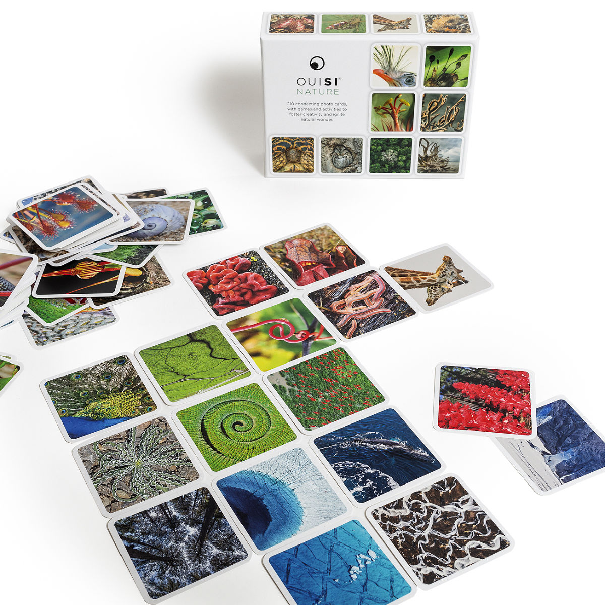 Uncommon Goods | Natural Connections & Discovery Game