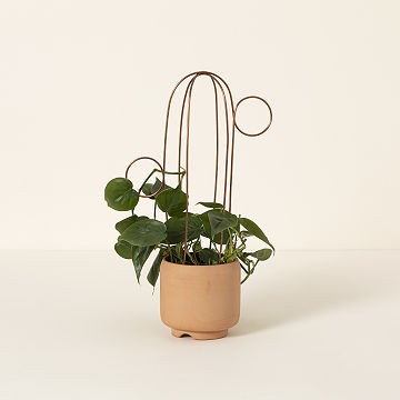 Unique & Cool Garden Accessories | Uncommon Goods