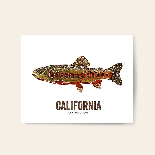 State Fish Art | Art | Uncommon Goods
