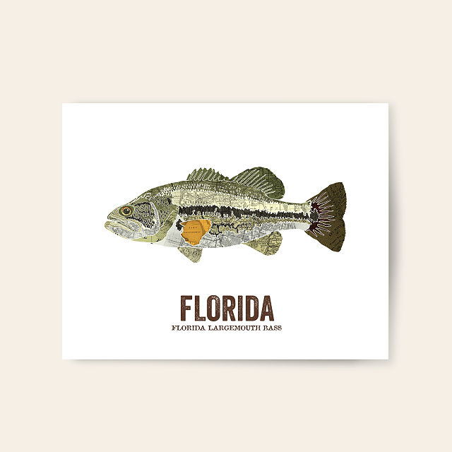 State Fish Art | Art | Uncommon Goods