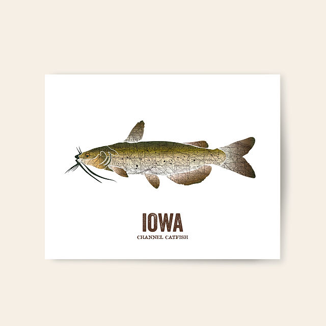 State Fish Art | Art | Uncommon Goods