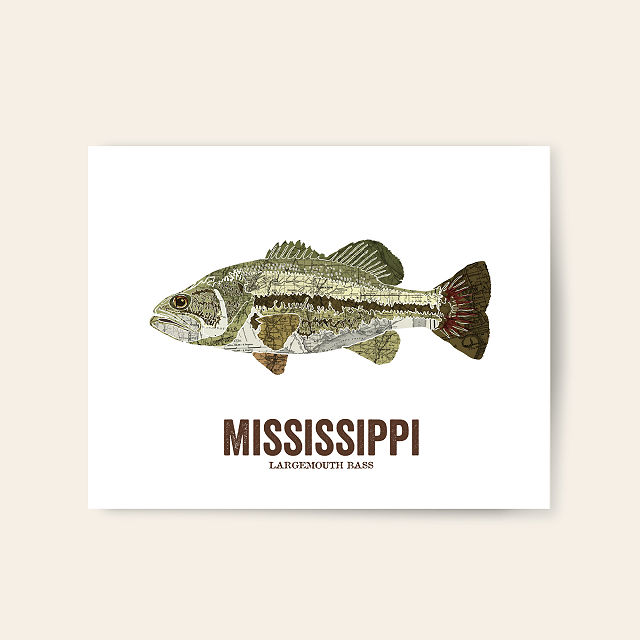 State Fish Art | Art | Uncommon Goods
