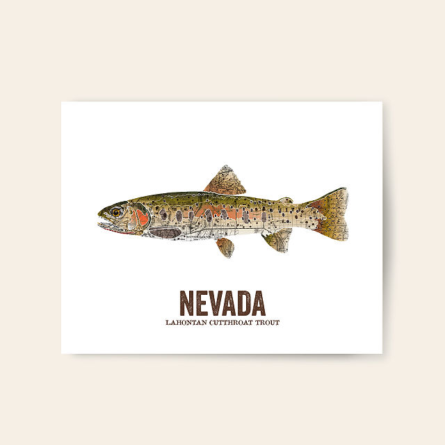 State Fish Art | Art | Uncommon Goods