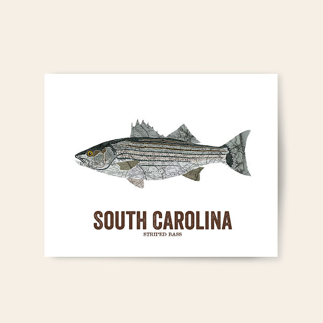 State Fish Art | Art | Uncommon Goods