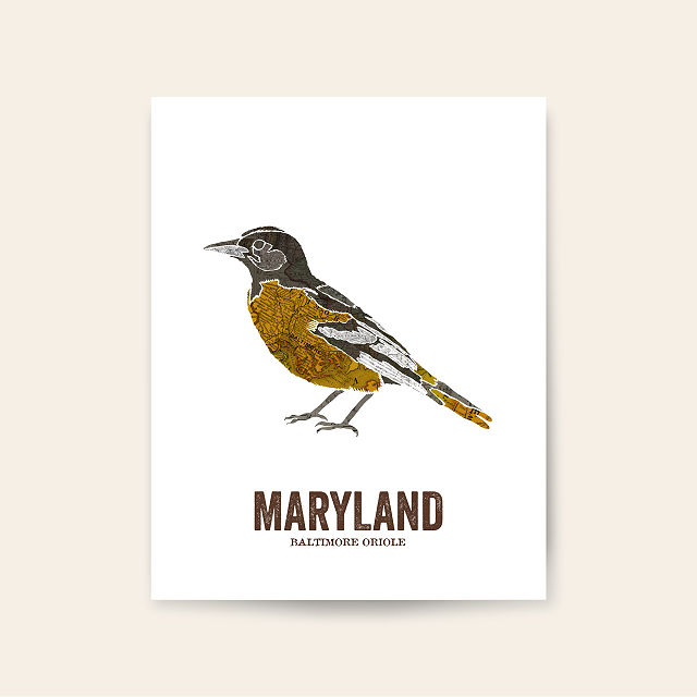 State Bird Art | Art | Uncommon Goods
