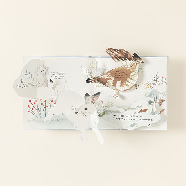 Explore the Four Seasons Pop-Up Books | Uncommon Goods