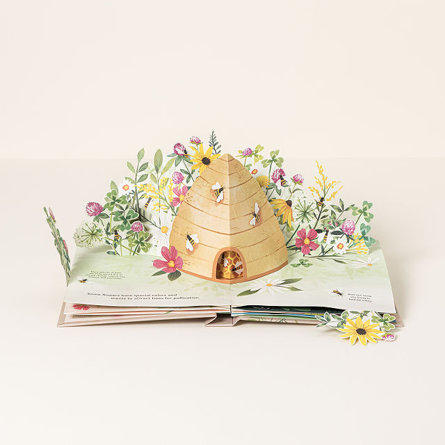 Explore the Four Seasons Pop-Up Books | Uncommon Goods