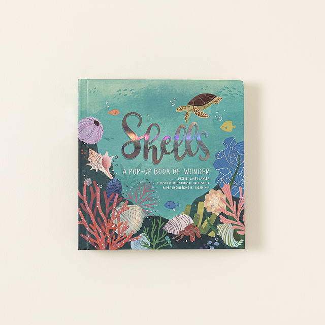 Uncommon Goods | Shells - Explore the Four Seasons Pop-Up Books