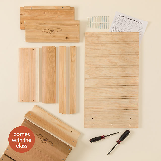 DIY Backyard Bat House Workshop | Bats | Uncommon Goods