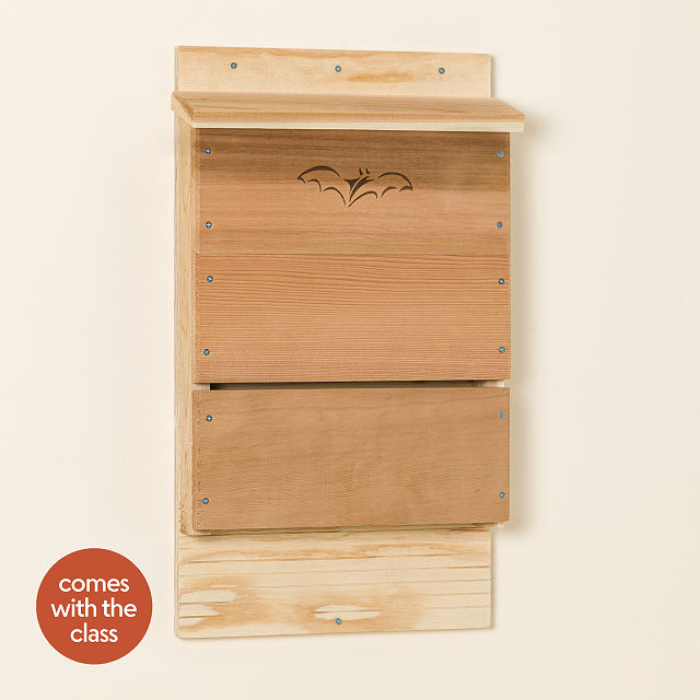 DIY Backyard Bat House Workshop | Bats | Uncommon Goods