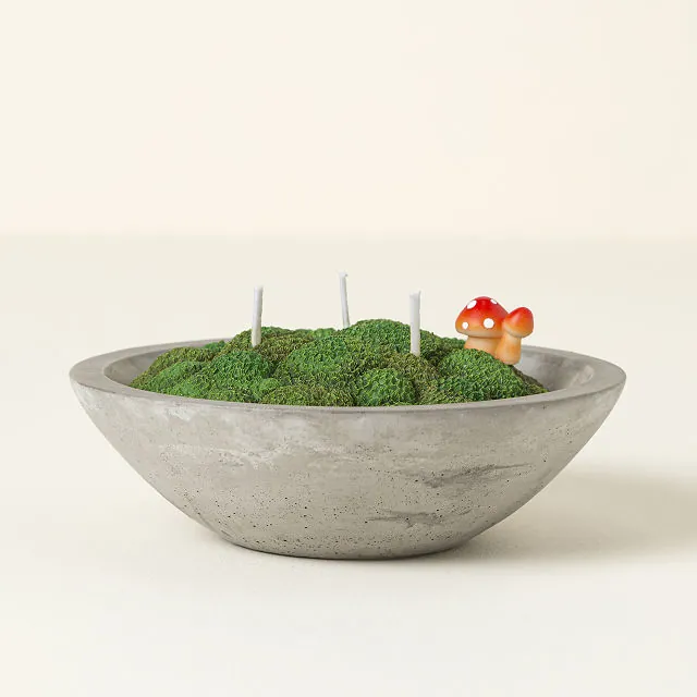 Bed of Moss Candle | Realistic Moss Candle | Uncommon Goods