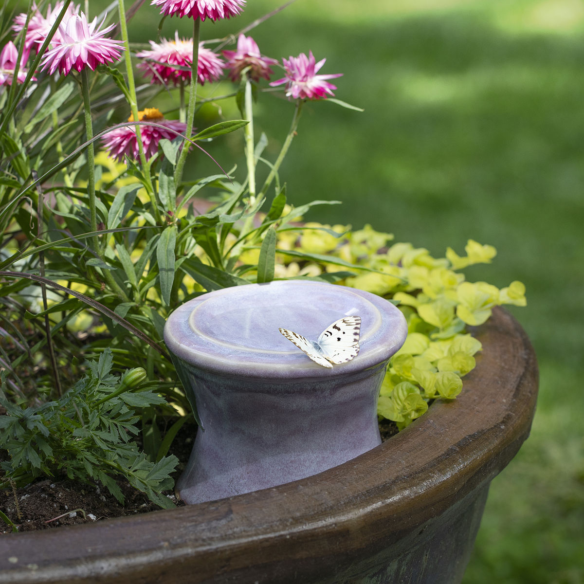 Uncommon Goods | Pedestal Butterfly Puddler | Butterfly Puddler