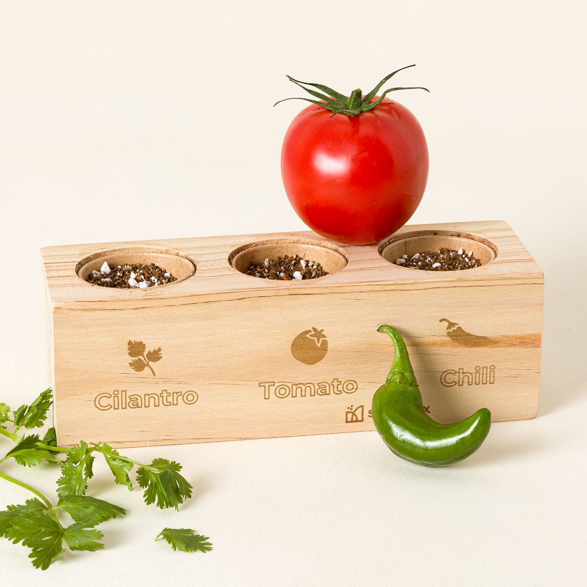Uncommon Goods | Salsa Herb Garden Starter Grow Kit | salsa garden